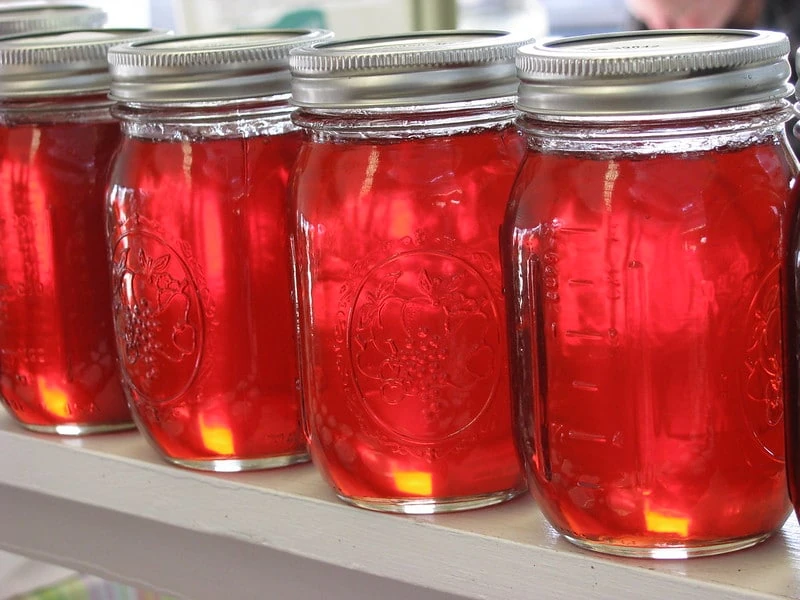 Objeto 6:"Moth Jelly" | Wiki Backrooms | Fandom