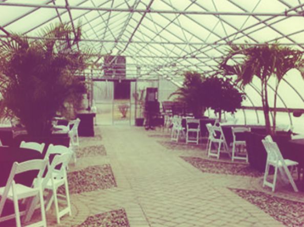 ☂️ Level 13: "Vitrum Madness" 🏡 | Backrooms Wiki | Fandom