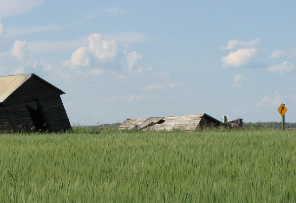 Level 232: "Field of Forgotten Forts" | Backrooms Wiki | Fandom