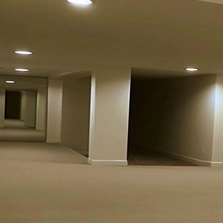 Level ZH 1002:“旧房” | Backrooms Wiki | Fandom