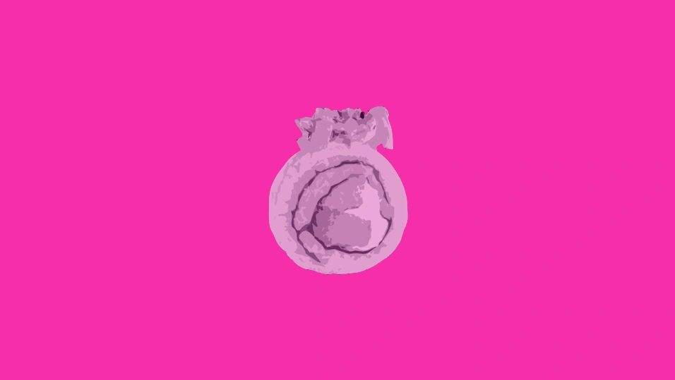 Entity 49: "Pink Larvae" | Backrooms Wiki | Fandom