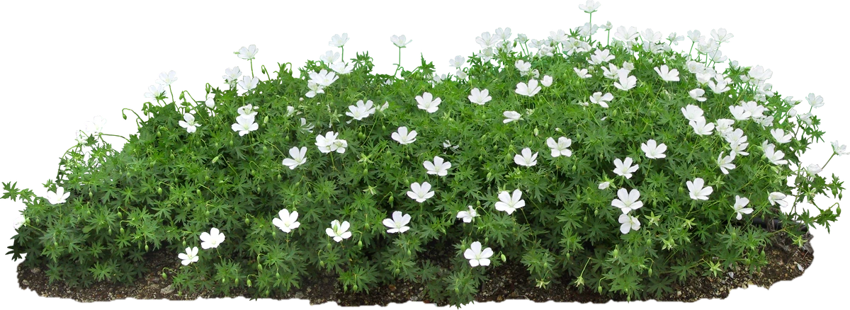 | Backrooms Wiki | Fandom