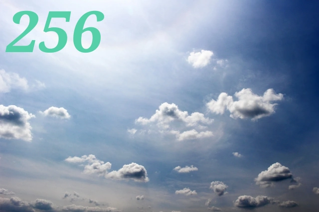 Level 256 η: "無限空島" | Backrooms Wiki | Fandom