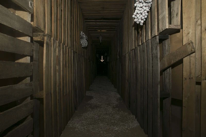 Level 45 η: "無限のお化け屋敷" | Backrooms Wiki | Fandom