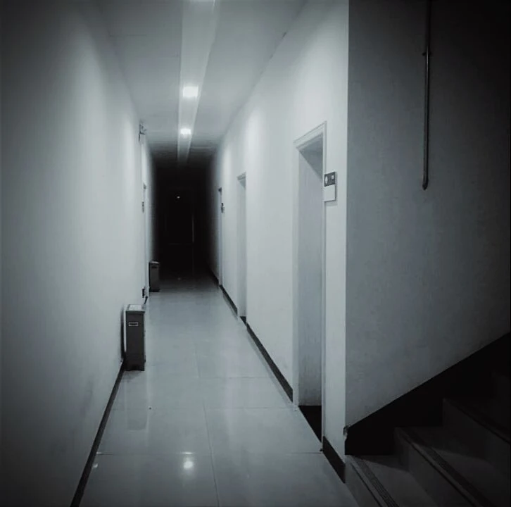 Level ZH 302：“恐惧感” | Backrooms Wiki | Fandom