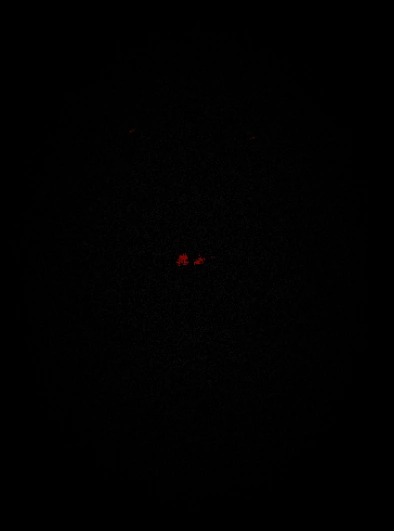 Entity 16: "Undying" | Backrooms Wiki | Fandom