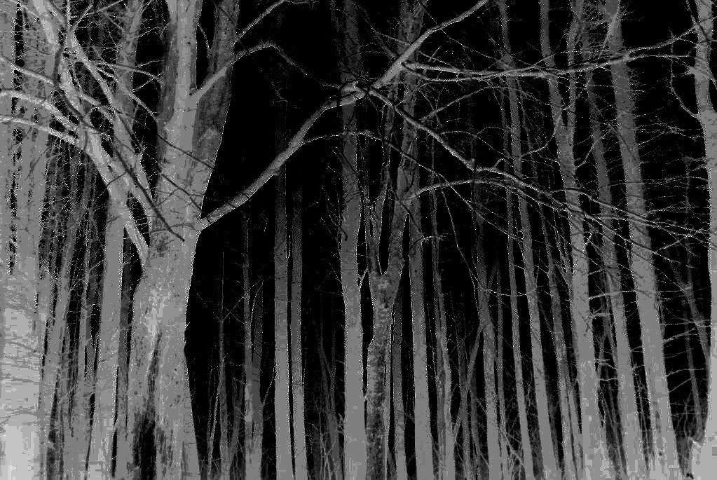 翻訳/Level 10-FR | Backrooms Wiki | Fandom