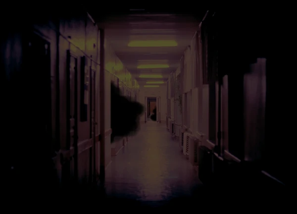 Level 669 η: "鬼哭啾啾" | Backrooms Wiki | Fandom