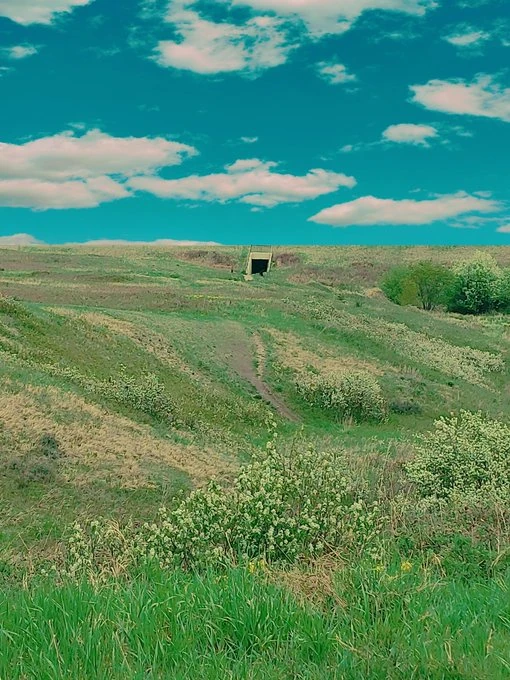 Level 988: "The Field...?" | Backrooms Wiki | Fandom