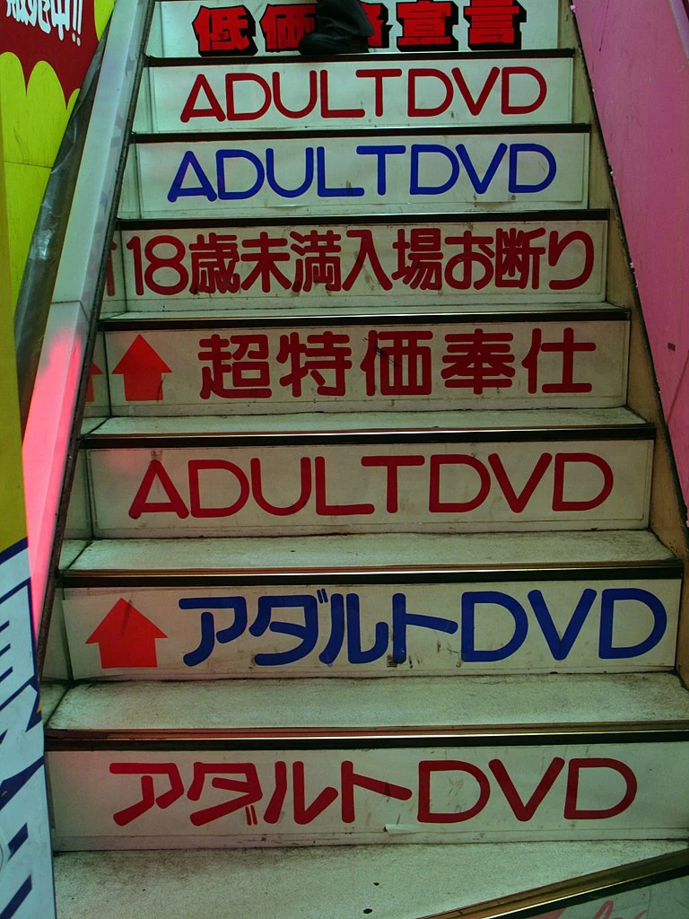 Level 71 η: "The Narrow Adult Video Shop" (狭小なアダルトビデオ販売店) | Backrooms ...