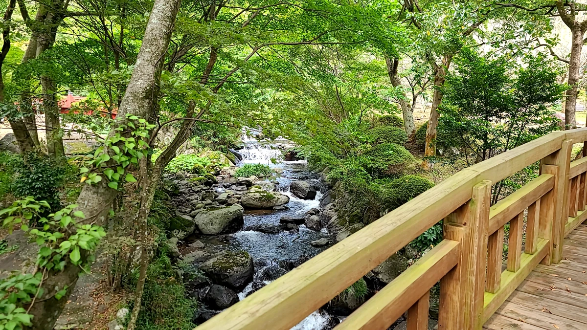 Level A-95: «Японский сад» (日本庭園) | Backrooms Wiki | Fandom