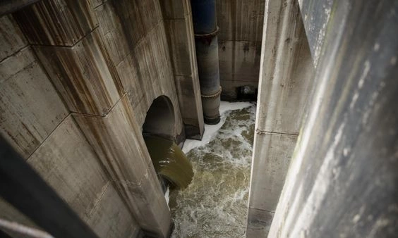 Nível 49-D | Wiki Backrooms | Fandom