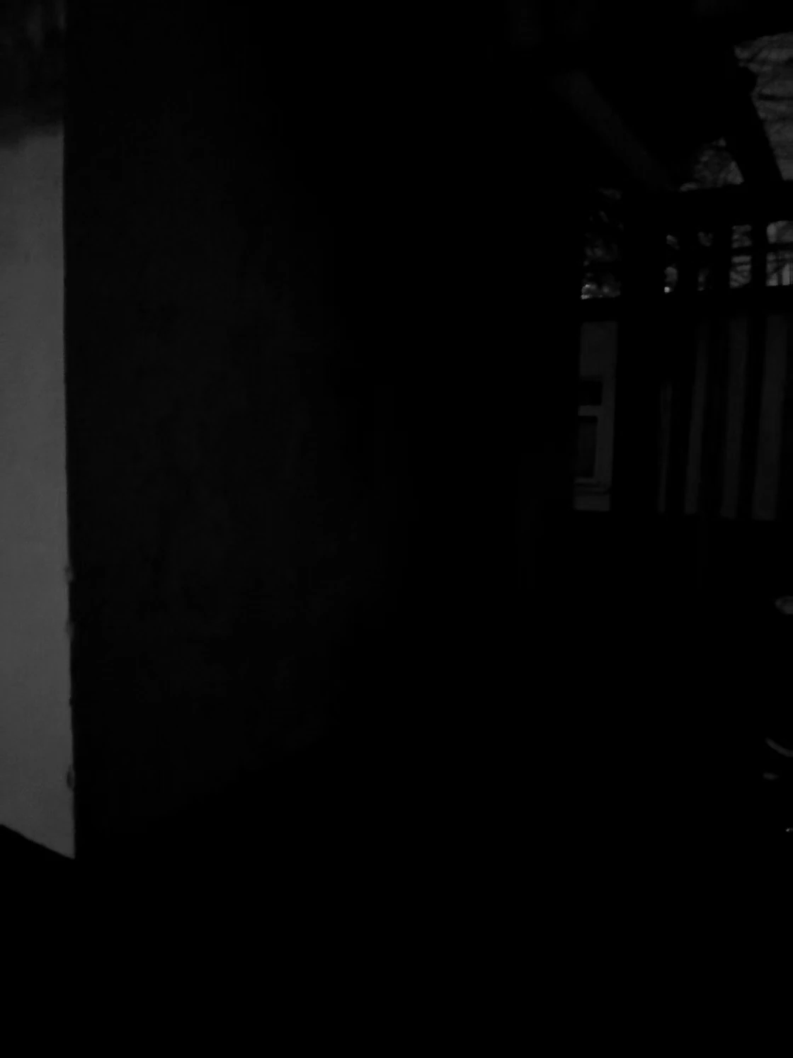 Level ZH -8："黑暗之中" | Backrooms Wiki | Fandom