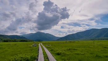 Level 116 η: "高層湿原" | Backrooms Wiki | Fandom