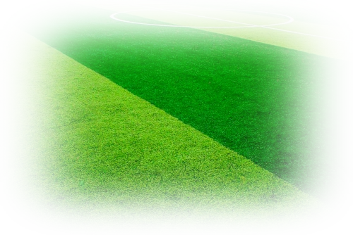 plastic | Backrooms Wiki | Fandom