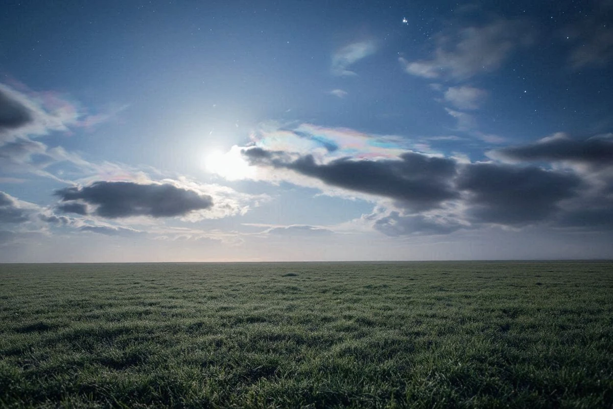 Level 2009 η: "The Elusive Center" (とらえどころのない中心) | Backrooms Wiki | Fandom