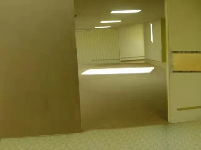 Level 0 R: "混乱之始" | Backrooms Wiki | Fandom