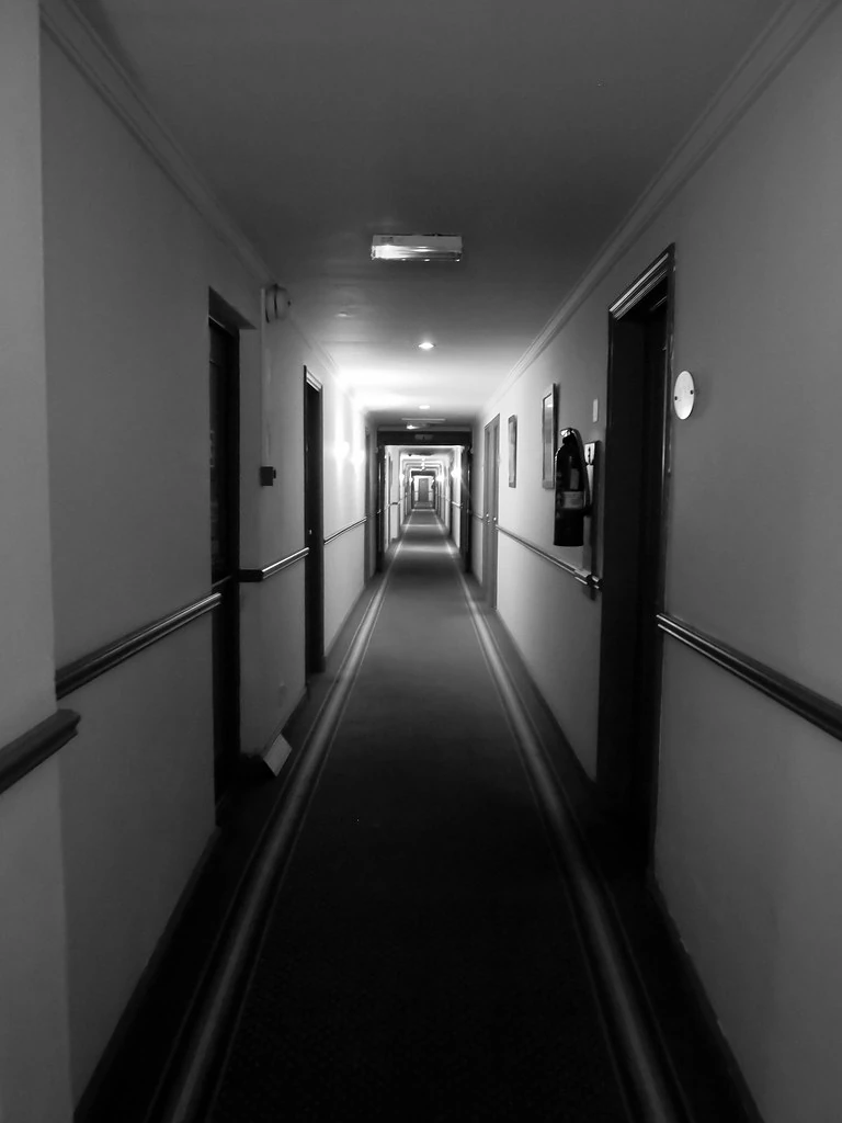 Level -1: "The Glitched Hall" (グリッチホール) | Backrooms Wiki | Fandom