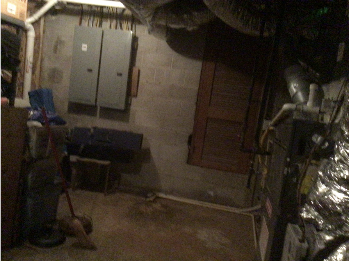 Level 148:"The Living Level"(生ける階層) | Backrooms Wiki | Fandom