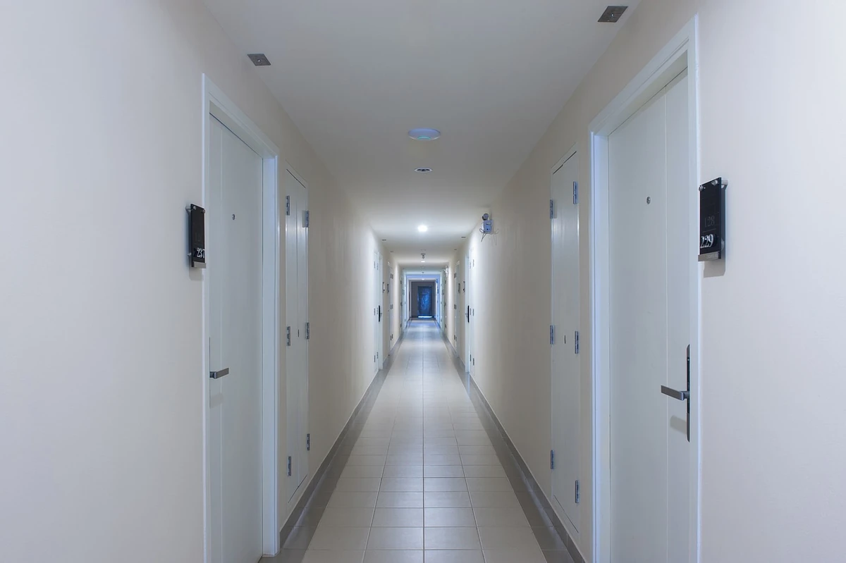 Level ZH 493:“长廊” | Backrooms Wiki | Fandom