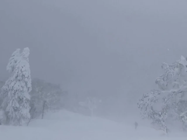 Level Snow Globe θ η: "myst mountan rang 霧の山脈" | Backrooms Wiki | Fandom