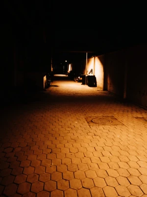 Level ZH 508: “寂静 归路” | Backrooms Wiki | Fandom