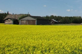 Level 232: "Field of Forgotten Forts" | Backrooms Wiki | Fandom