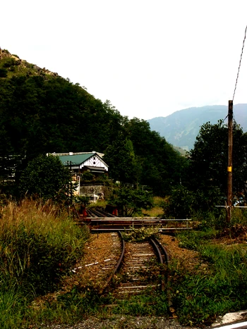 Level 91 η: "気分転換" | Backrooms Wiki | Fandom