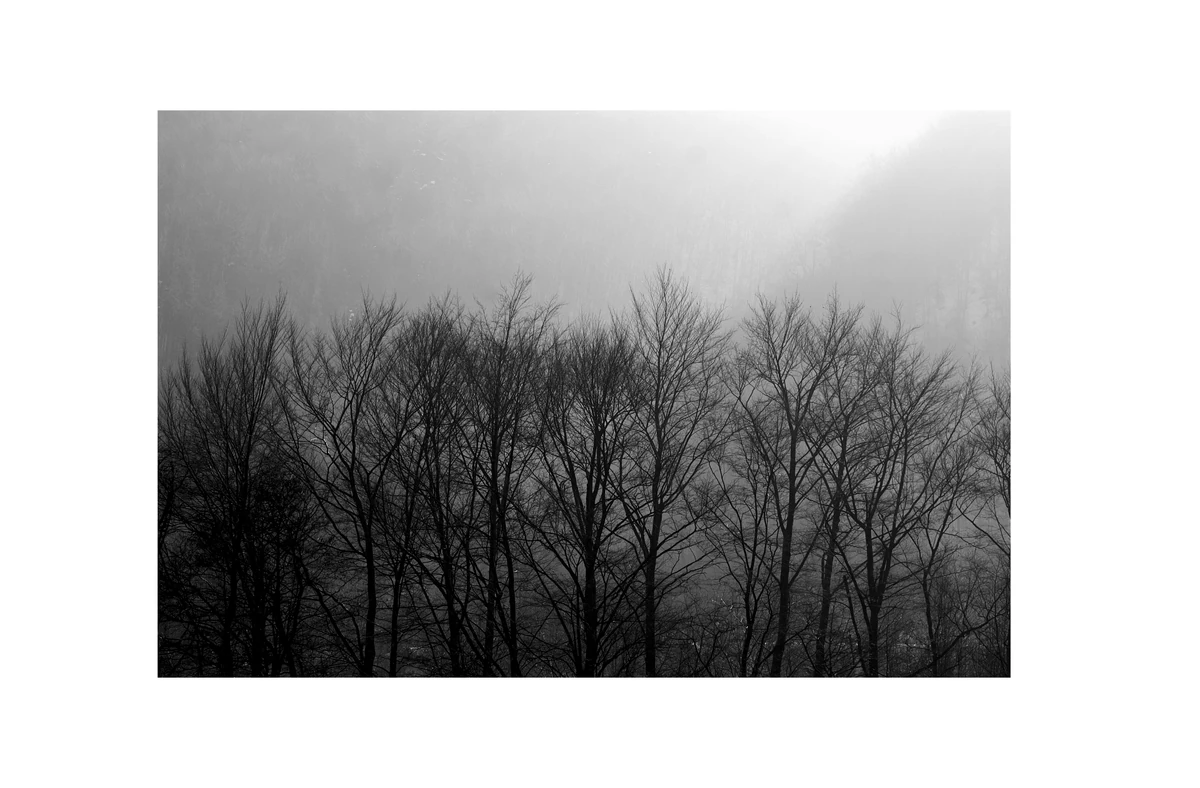 Level 35: "零日" | Backrooms Wiki | Fandom