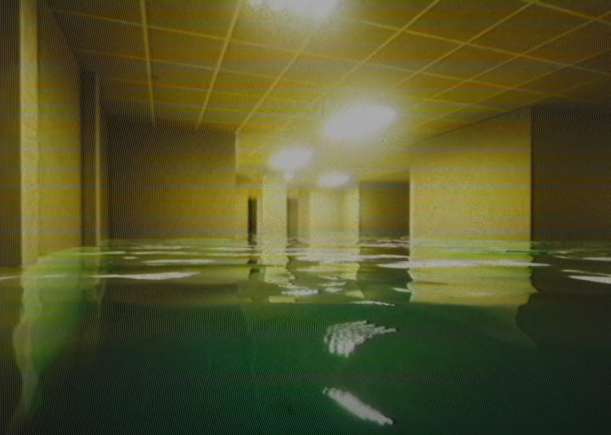 Level 0.8: "滥水前厅" | Backrooms Wiki | Fandom