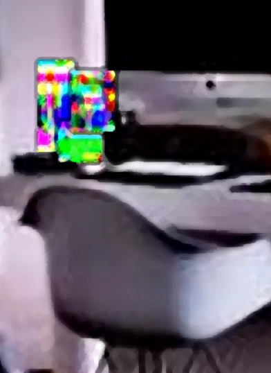 Phenomenon ZH 56 | Backrooms Wiki | Fandom