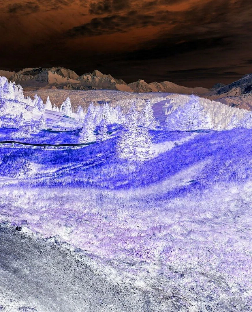 Level 80: 灭绝之路 | Backrooms Wiki | Fandom