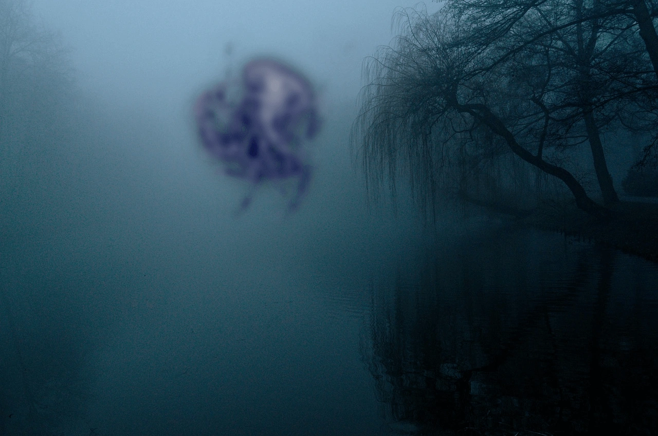 Entity ZH 23 | Backrooms Wiki | Fandom