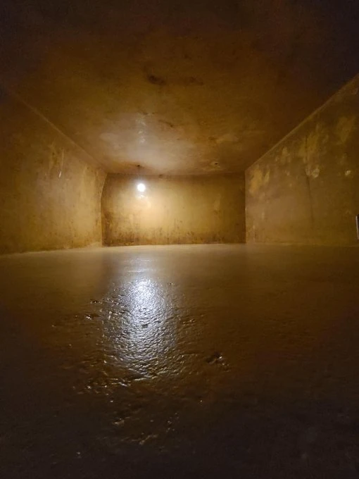 Level 147: "Confusion Instincts" | Backrooms Wiki | Fandom