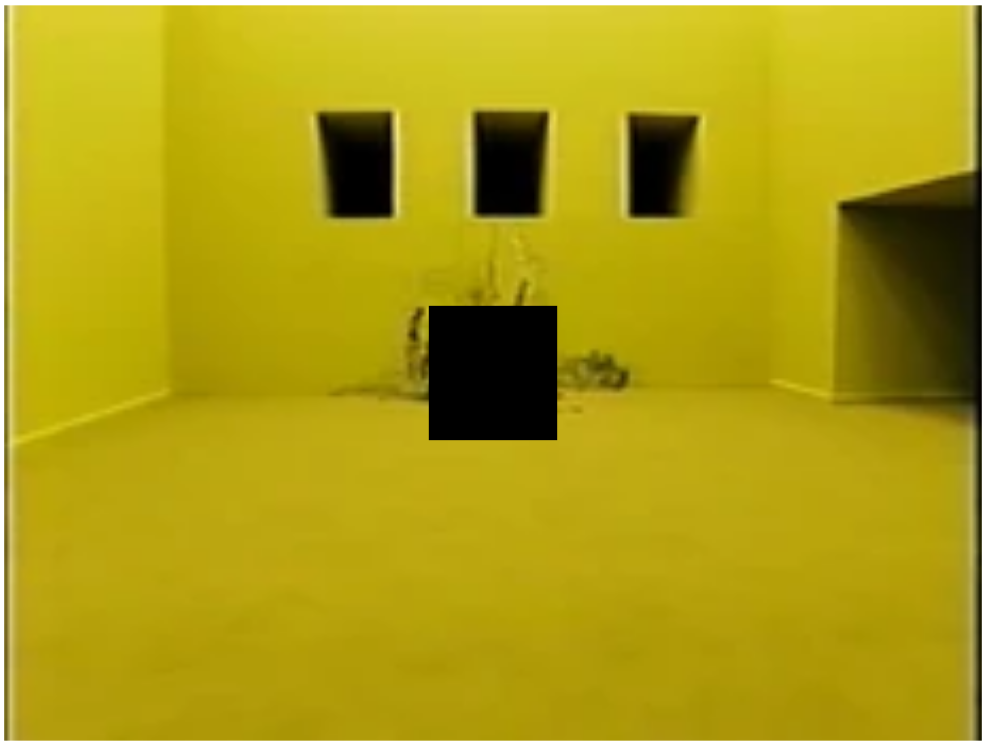 The Complex Wiki Backrooms Fandom