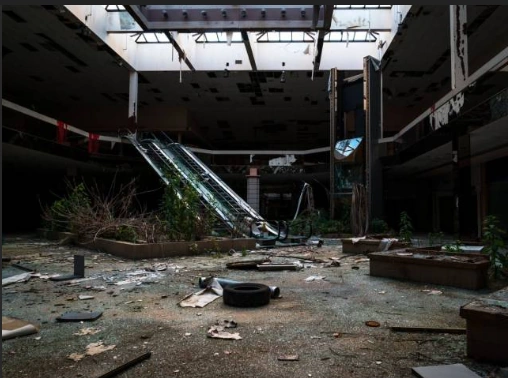 Nível 141-D: "Into The Wild" | Wiki Backrooms | Fandom