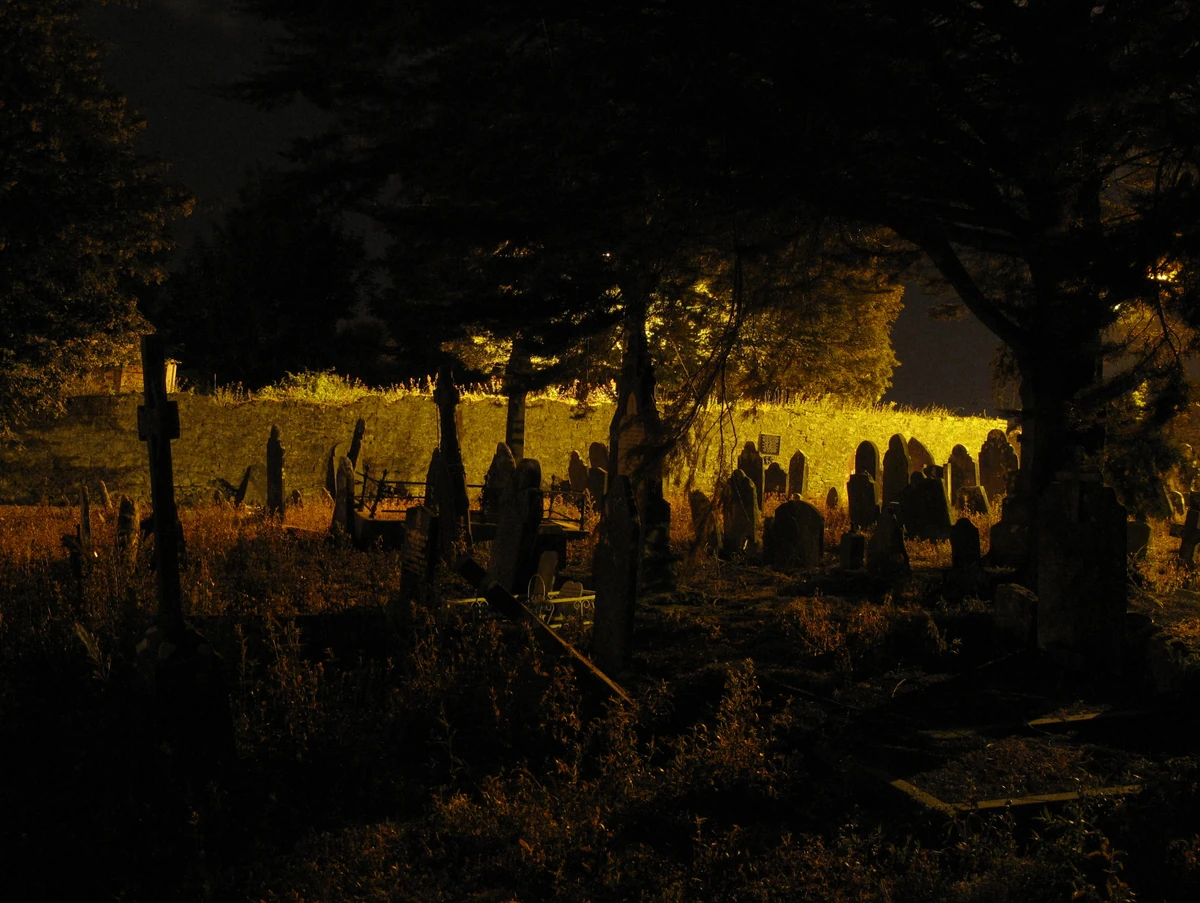 Level -45 η: "もう一つの幻想郷" | Backrooms Wiki | Fandom