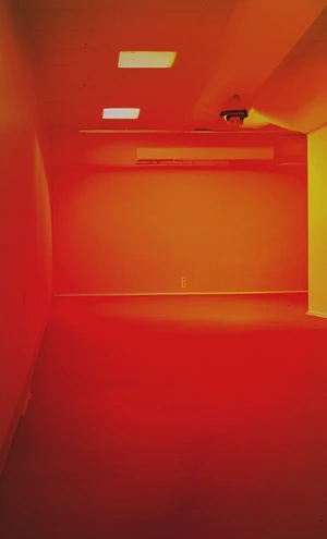 Die Gefahren Zone | Backrooms Wiki | Fandom