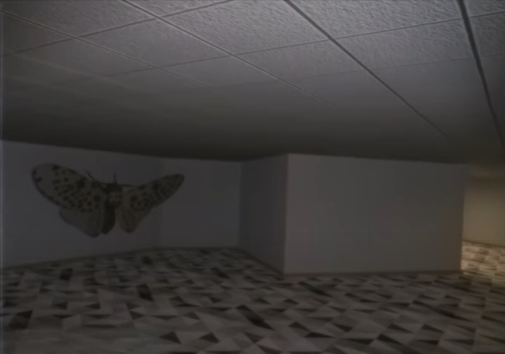 entity-4-deathmoths-backrooms-wiki-fandom