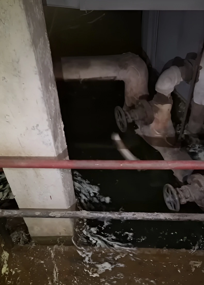 Level 601: "A Long Forgotten Result" | Backrooms Wiki | Fandom