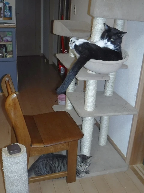 Level 22 η: "最高级幸福" | Backrooms Wiki | Fandom