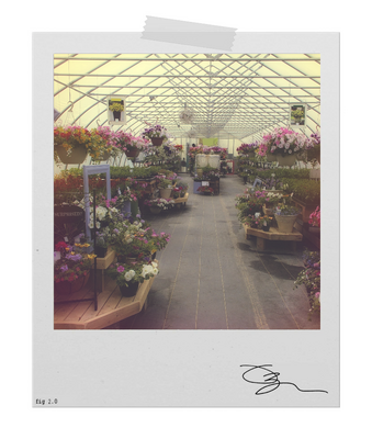 ☂️ Level 13: "Vitrum Madness" 🏡 | Backrooms Wiki | Fandom