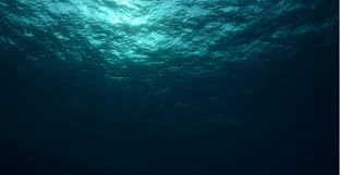 Level 7.43: "Maledictio Submersionis" | Backrooms Wiki | Fandom