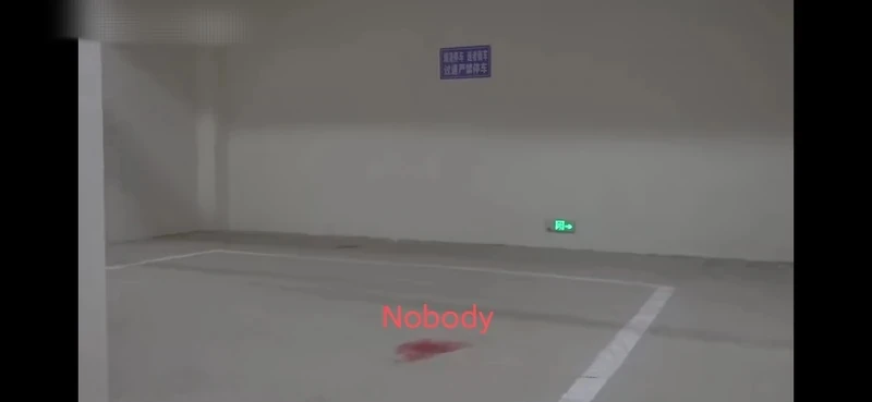 Level ZH 208: "停车场" | Backrooms Wiki | Fandom