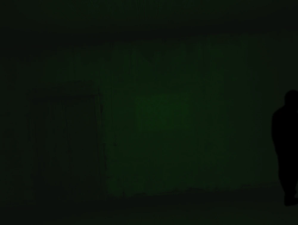 Level 113: 黑暗恐惧症 | Backrooms Wiki | Fandom