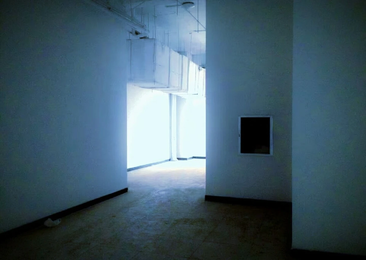 Level ZH 41.3：扭转 | Backrooms Wiki | Fandom