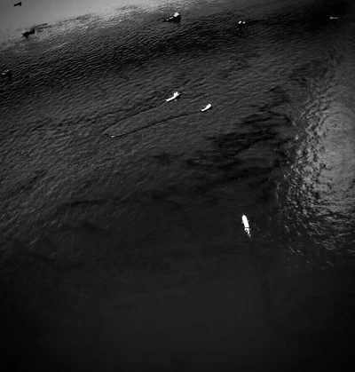 TH3 SH4DY GR3Y: (陰りゆく灰) | Backrooms Wiki | Fandom