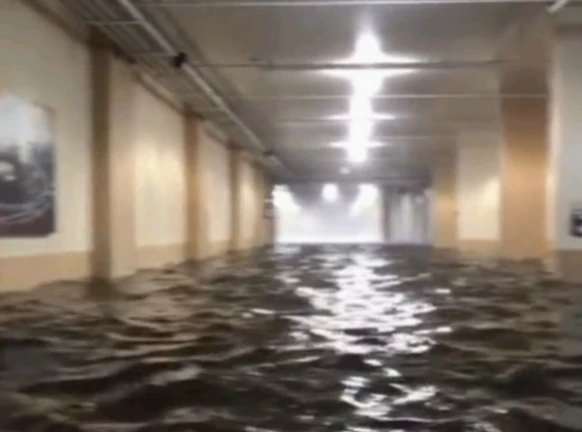 Nível 32-PT | Wiki Backrooms | Fandom