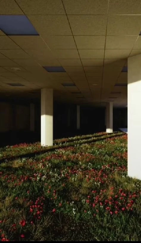 Level ZH 5: "星期天" | Backrooms Wiki | Fandom