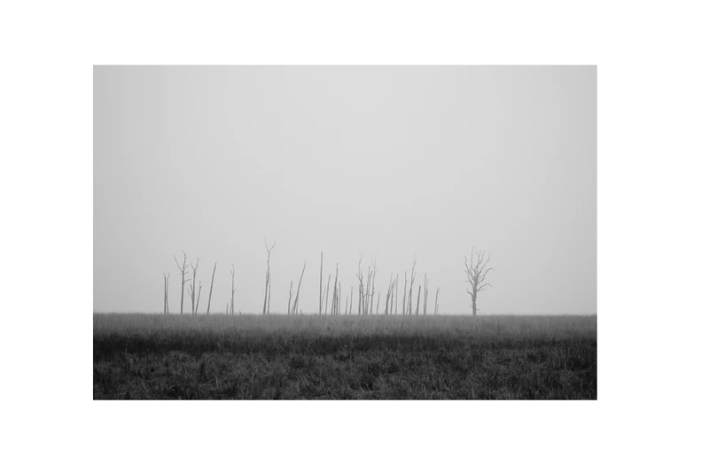 Level 35: "零日" | Backrooms Wiki | Fandom